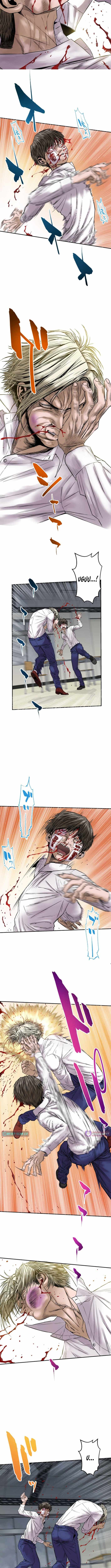 Fight Rankings: The Weakest Me Climbs the Fighting Strongest Rankings ...